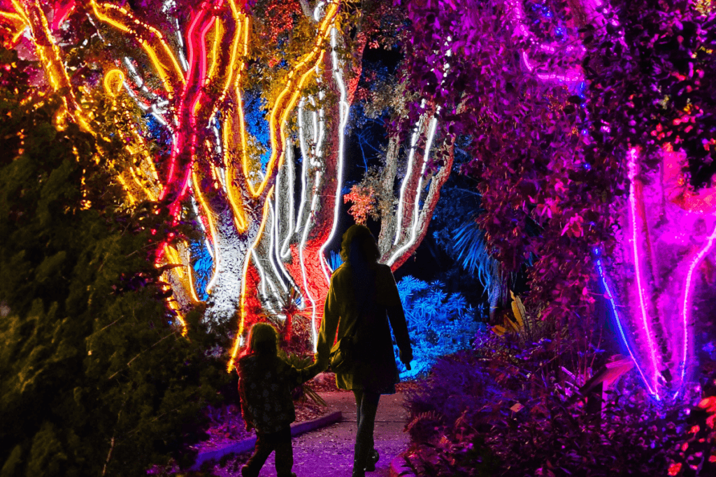 Lightscape and Dark Spectrum | Marketing Campaign
